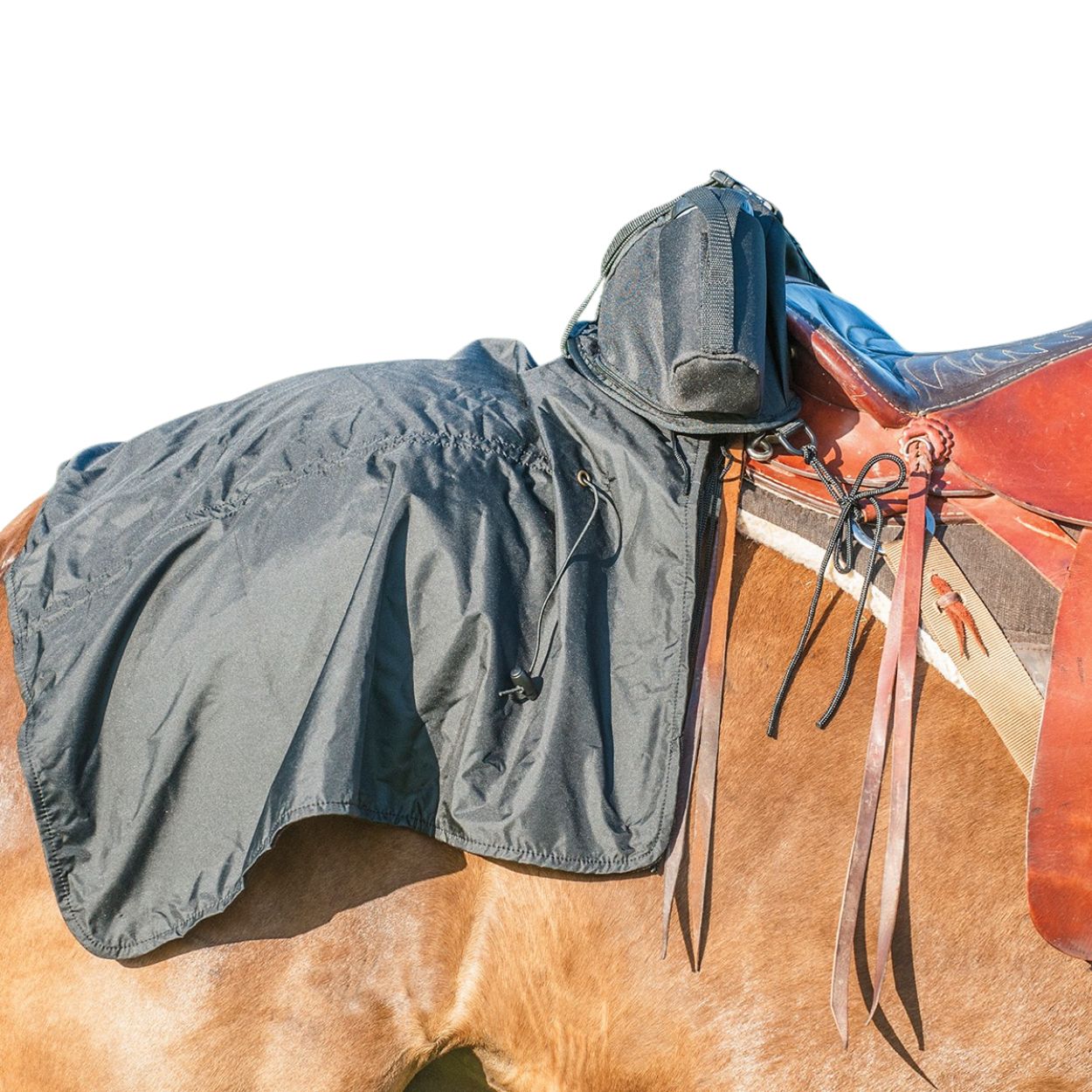 Cashel Rump Warmer | Saddles Canada