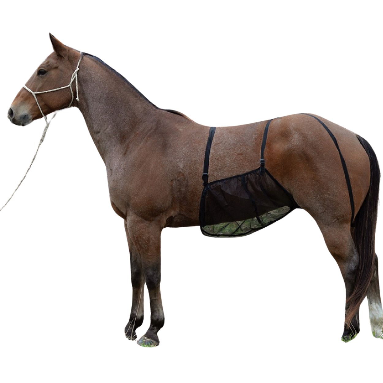 Cashel Quiet Ride Belly Guard | Saddles Canada