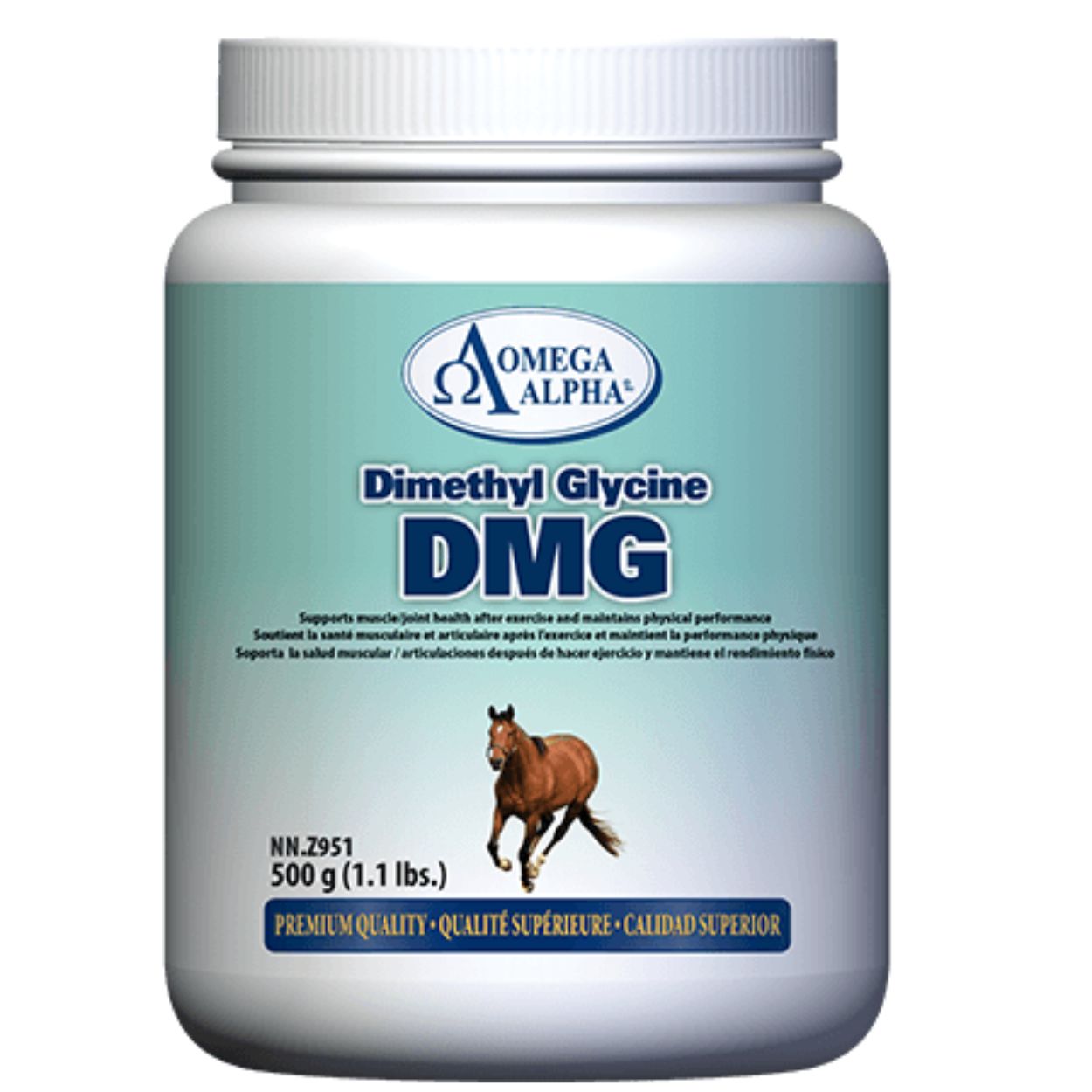 Omega Alpha DMG Dimethyl Glycine, 500gm | Saddles Canada
